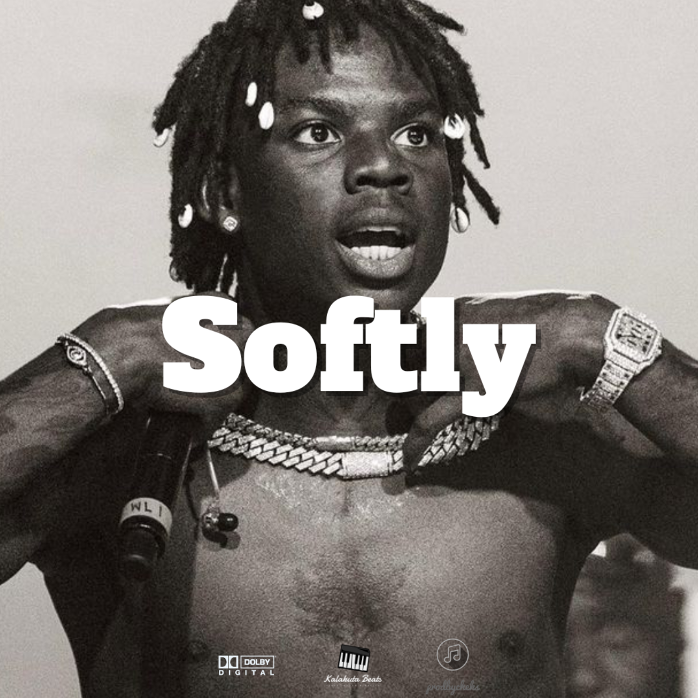 Free Afrobeats x Dancehall Type Beat - Softly by Prodbycheks | Moshpyt