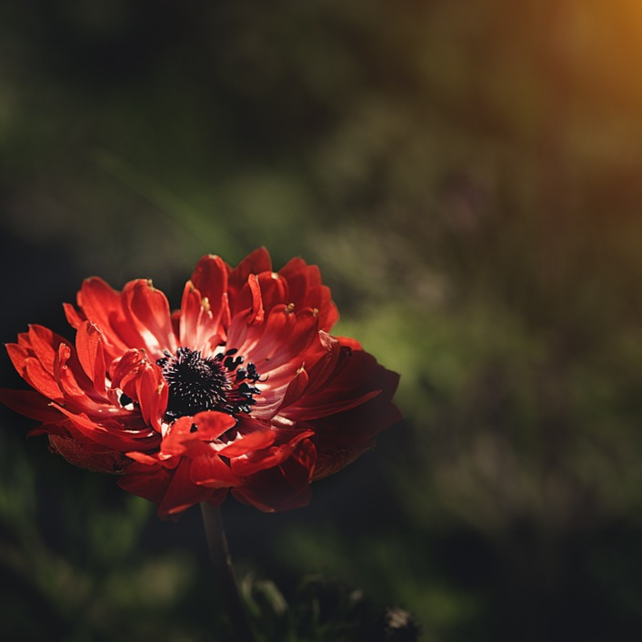 undefined by undefined | Moshpyt